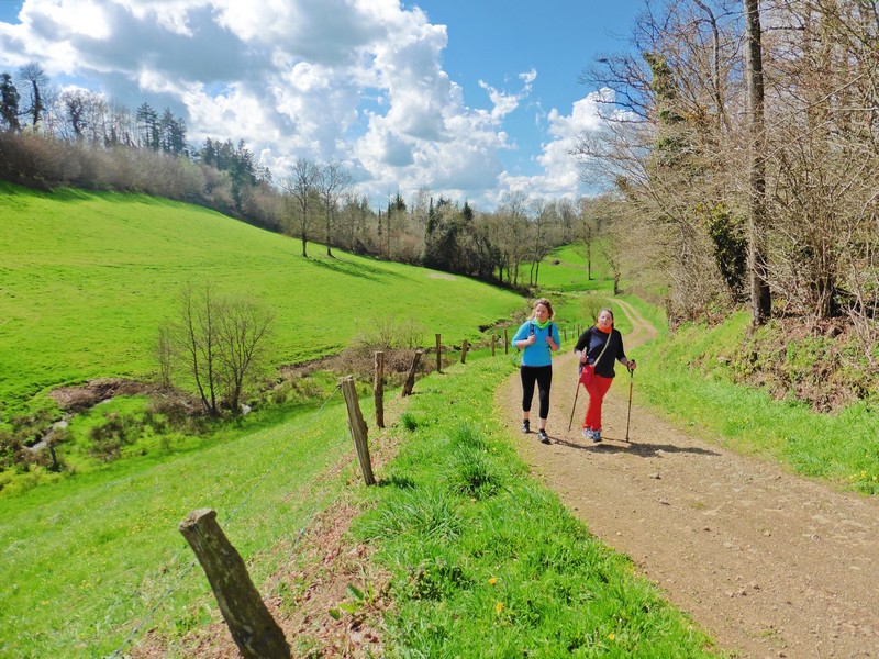 6 - Le Mont chauve - Office de Tourisme du Pays de Vire