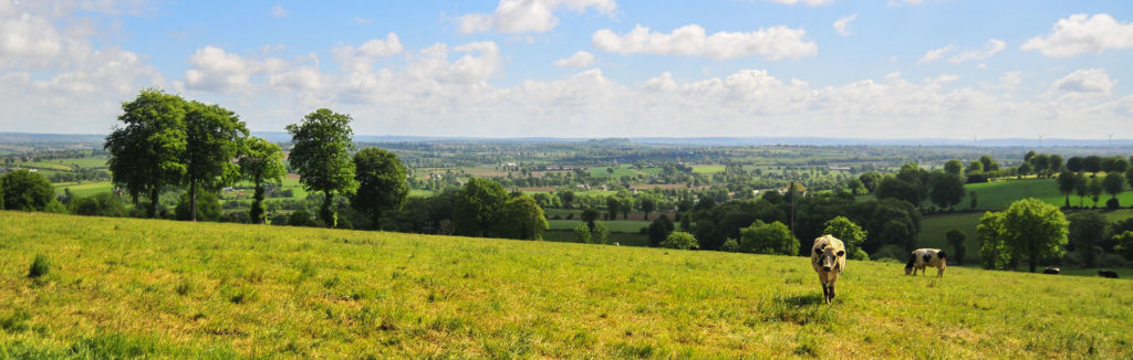 Notre carte interactive vous emmène à la découverte du Pays de Vire