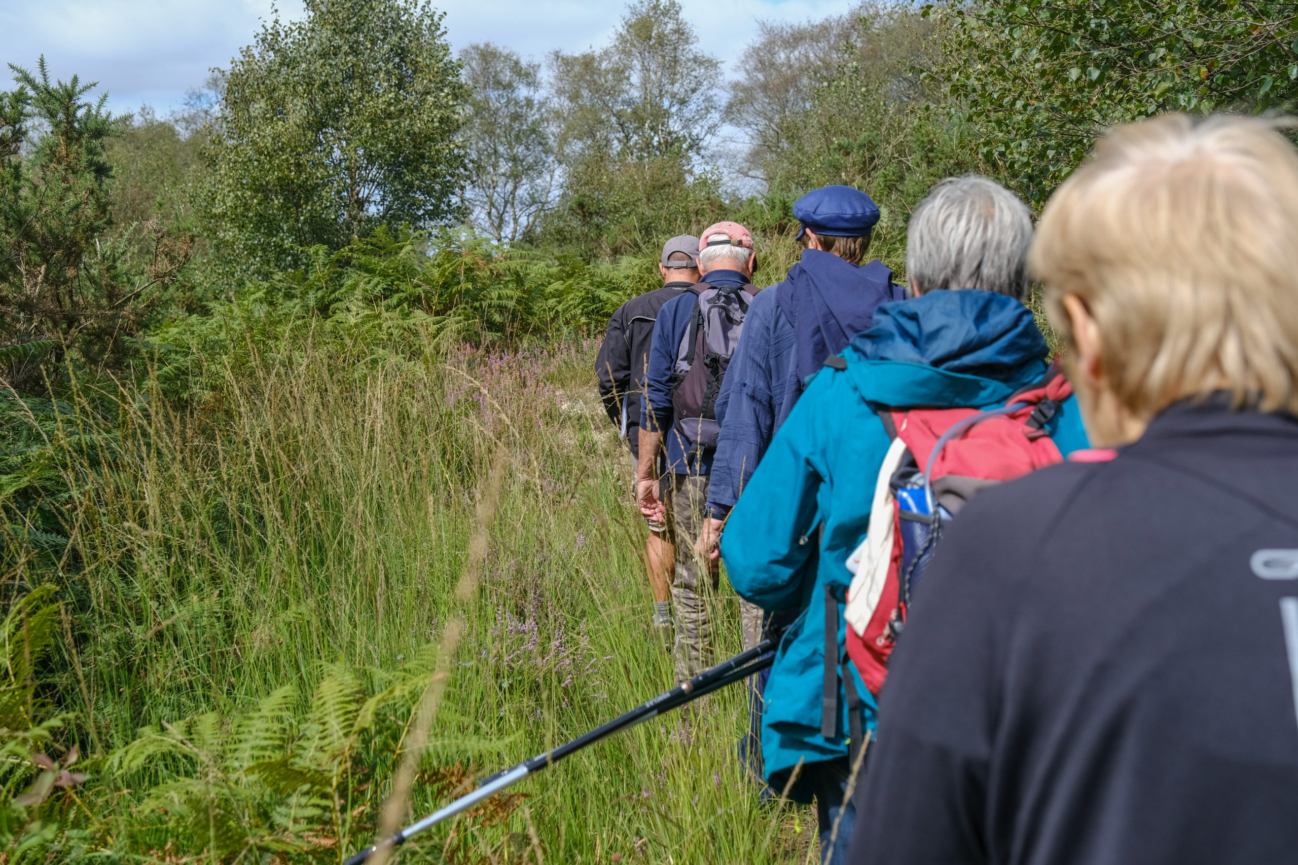 Randonnée - Office de Tourisme du Pays de Vire