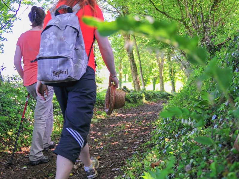Photothèque - Office de Tourisme du Pays de Vire
